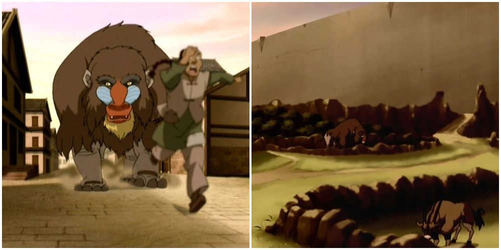Avatar: The Last Airbender: The 10 Coolest Animal Hybrids, Ranked
