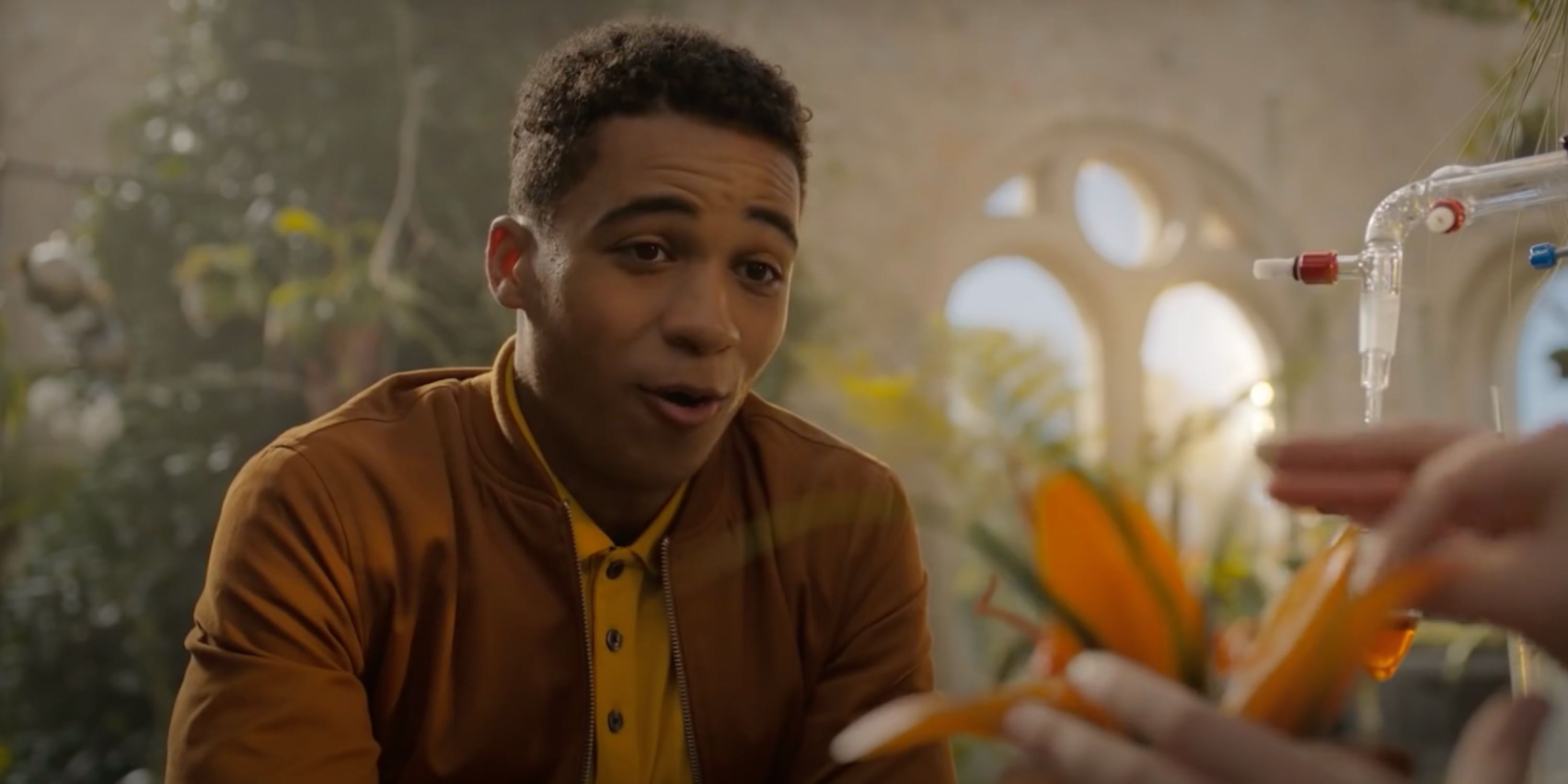 Fate: The Winx Saga Cast & Character Guide