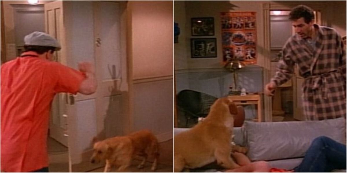 Seinfeld: 10 Behind The Scenes Facts About Kramer