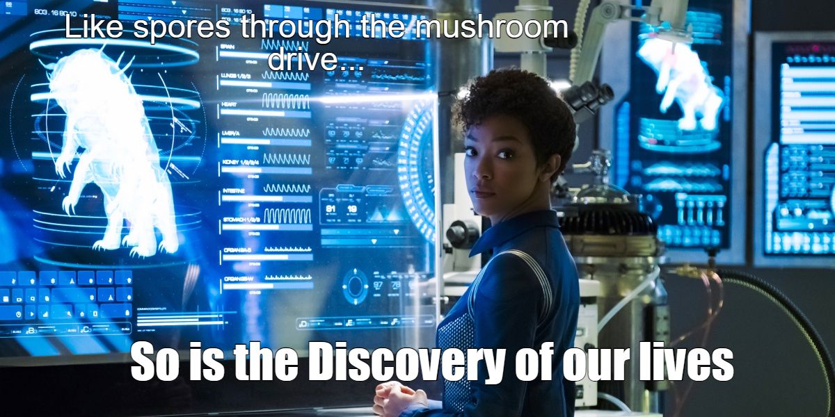 Star Trek: 10 Burnham Memes That Only Fans Understand