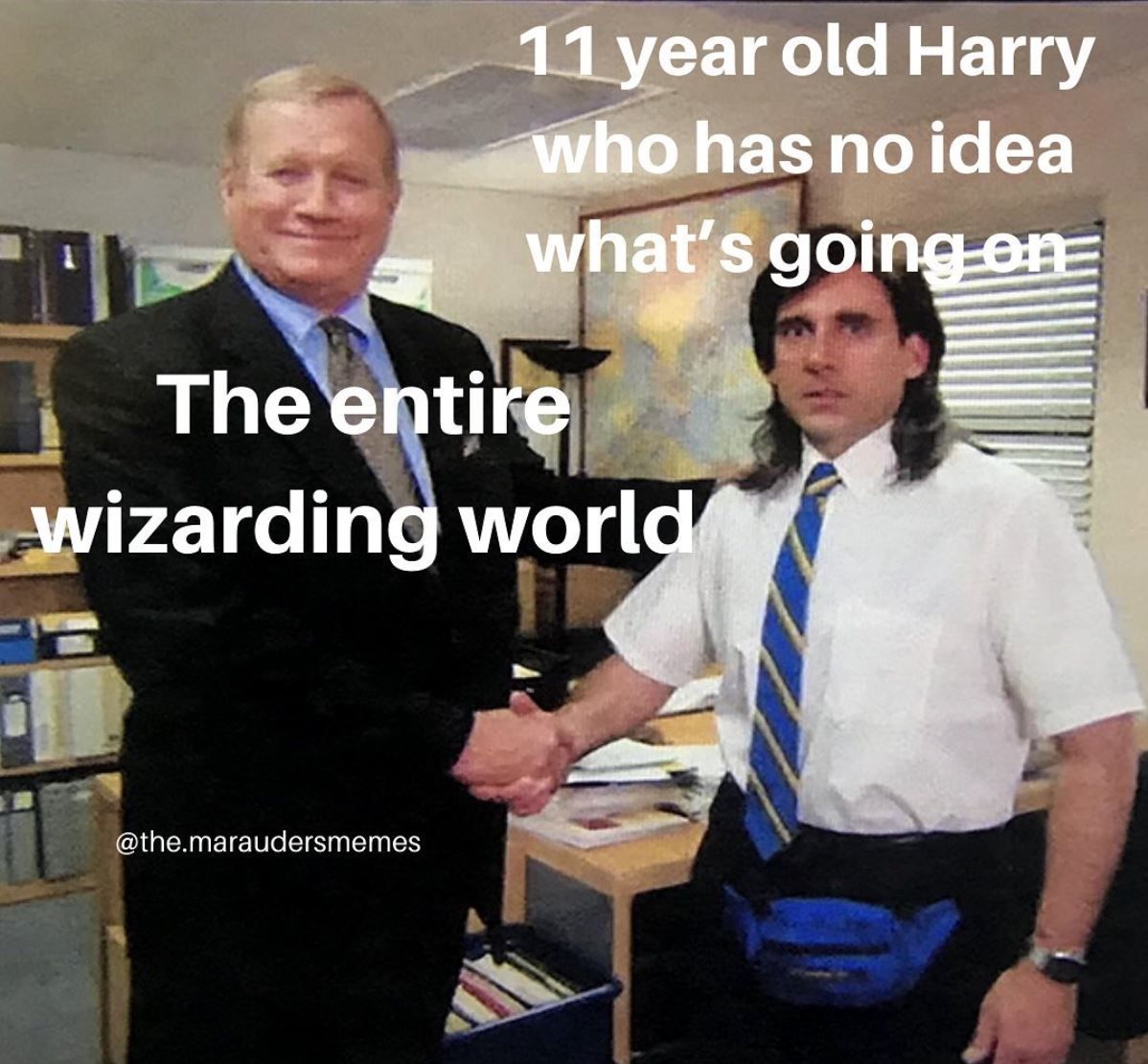 Harry Potter: 10 Brilliant Memes About The Wizarding World