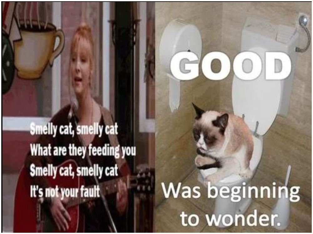 Friends: 10 Best Smelly Cat Memes