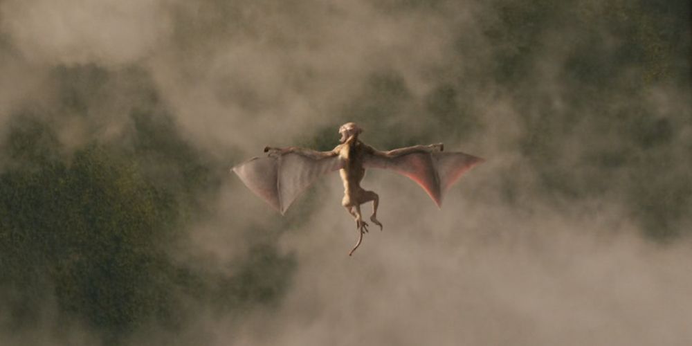 Shadow In The Cloud: The 10 Most Awesome Moments