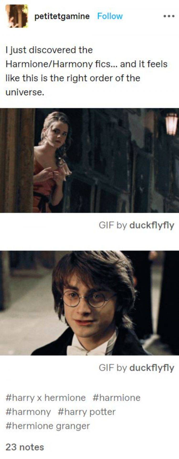 Harry Potter: The Best Harry/Hermione Ship Memes