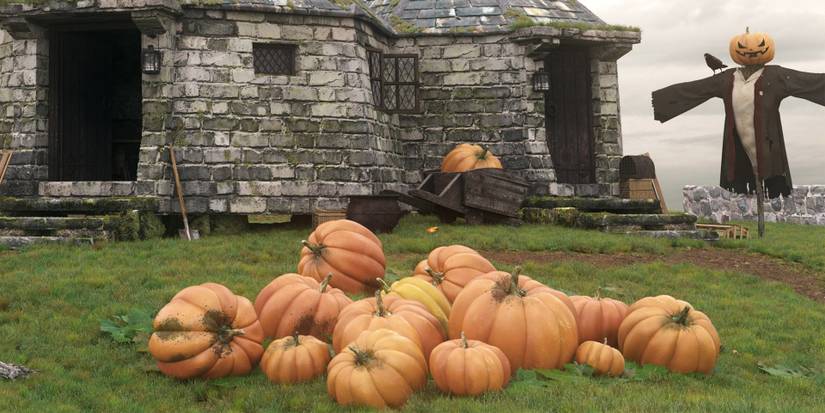 10 Silliest Spells In Harry Potter