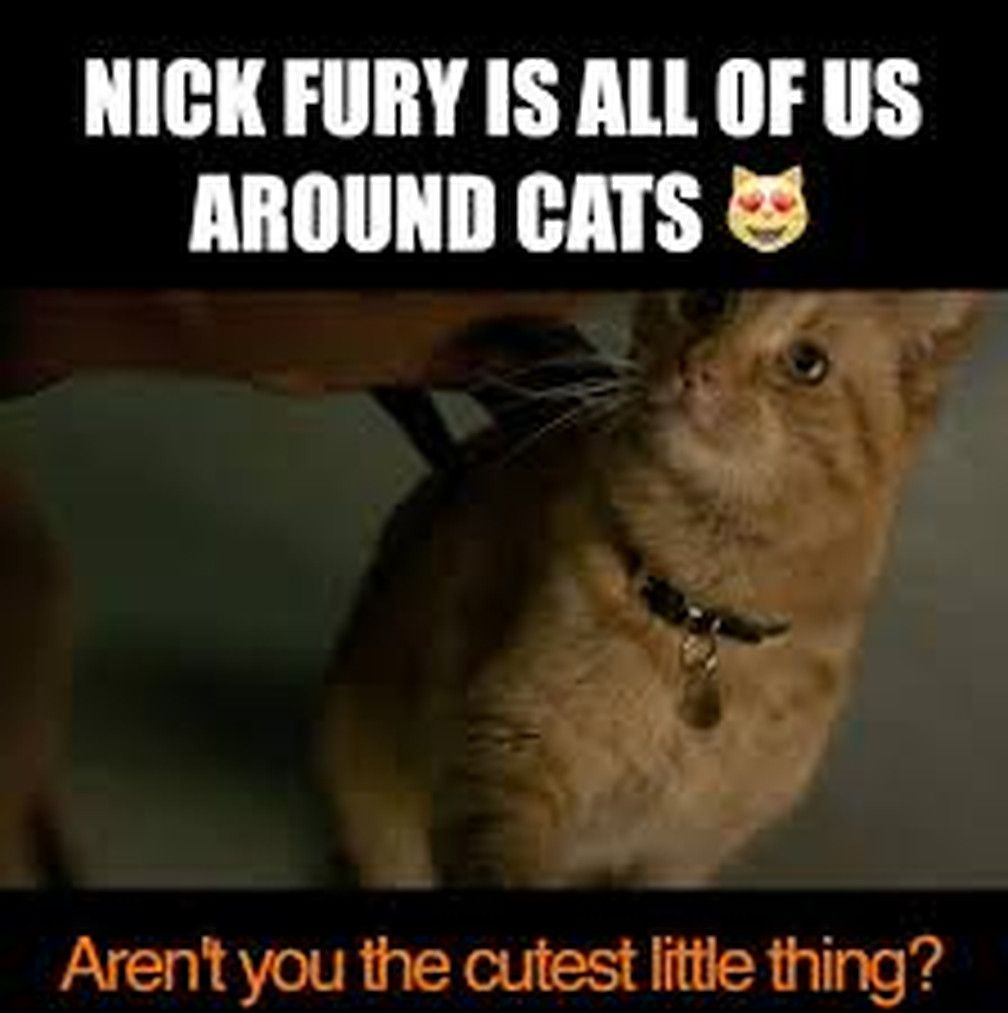 MCU's Nick Fury: 10 Most Hilarious Memes That Would Make Even Fury Laugh