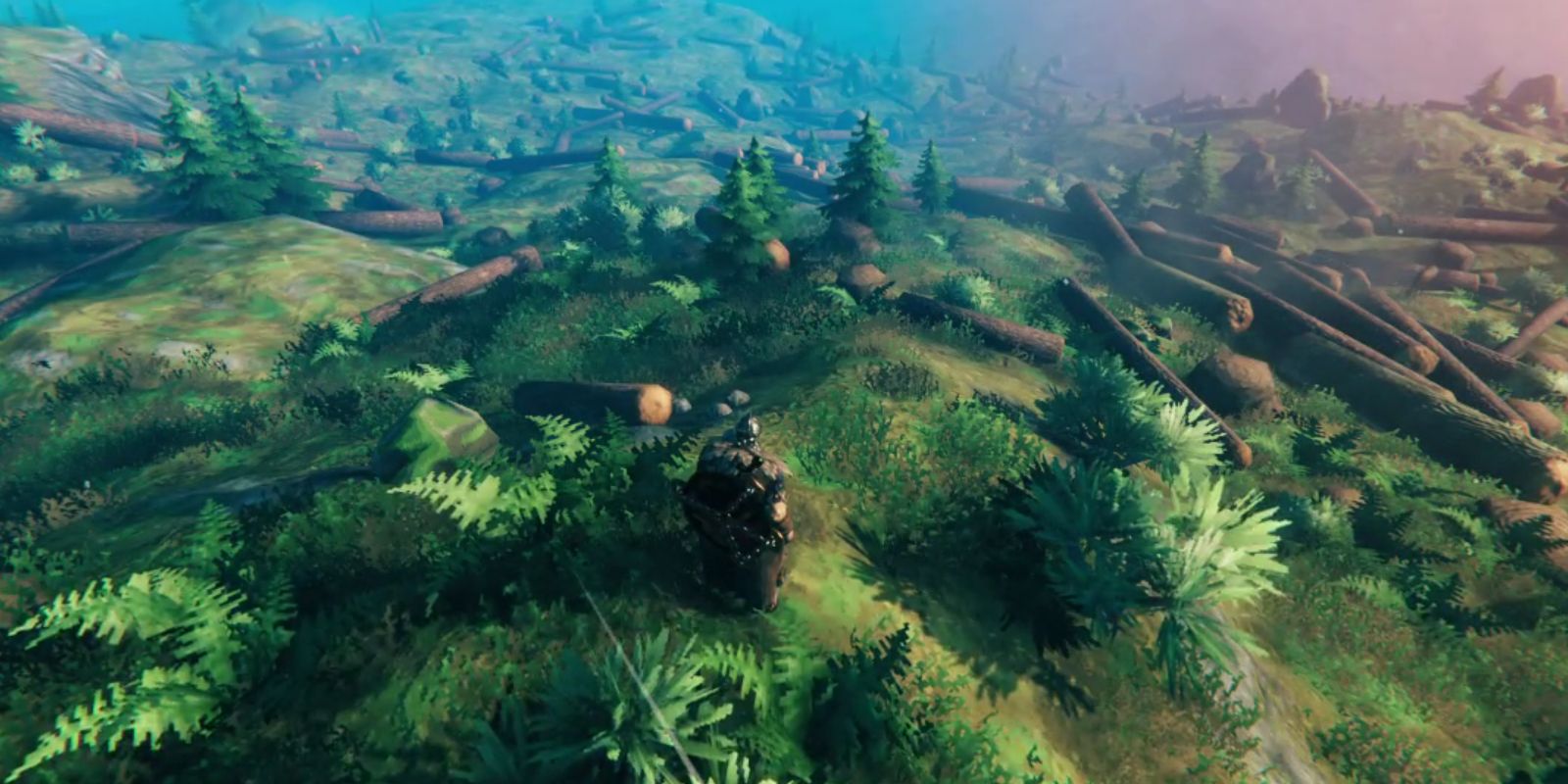 Valheim's Black Forest Cut Down By Player To Spite the Greydwarves