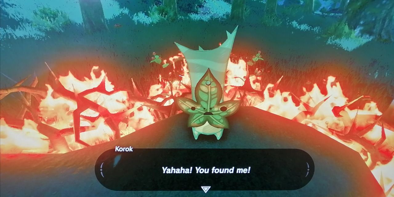 Zelda: 10 "This Is Fine" Memes That Are Too Funny