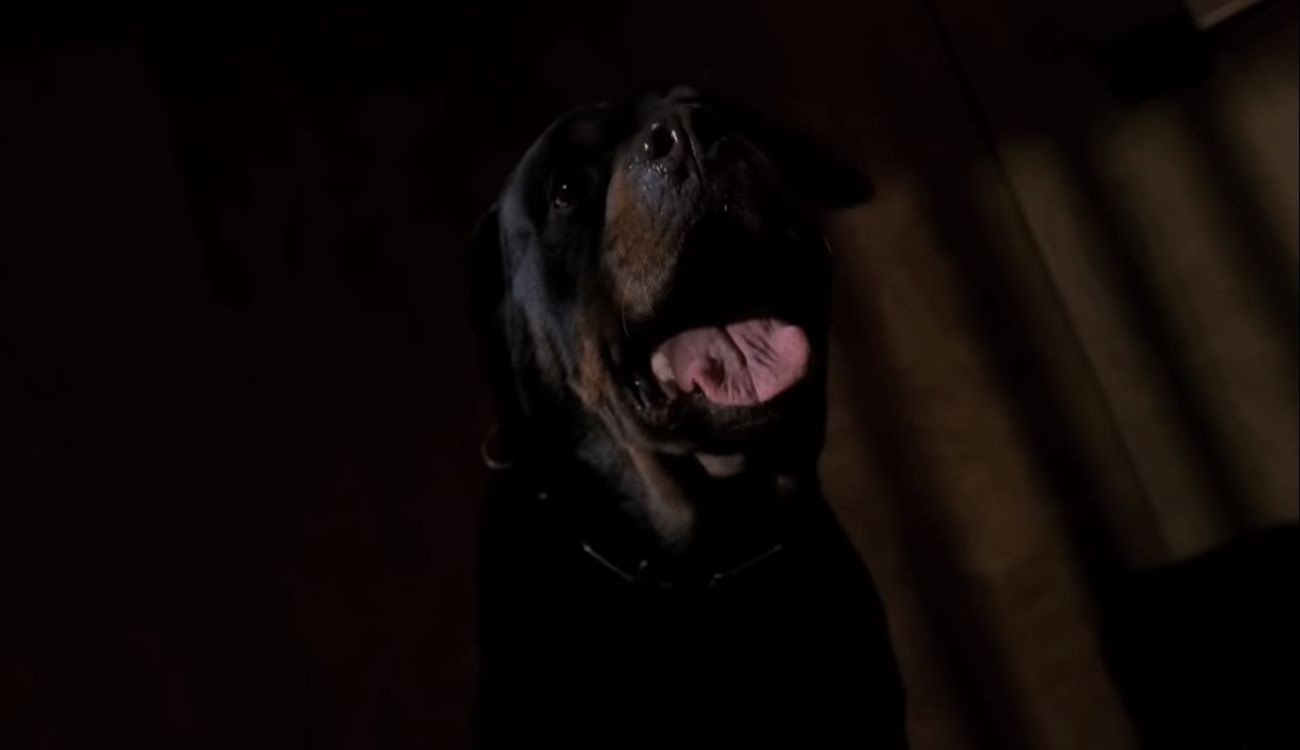 The Sopranos: All 6 Animal Symbols For Tony (& What They Mean)