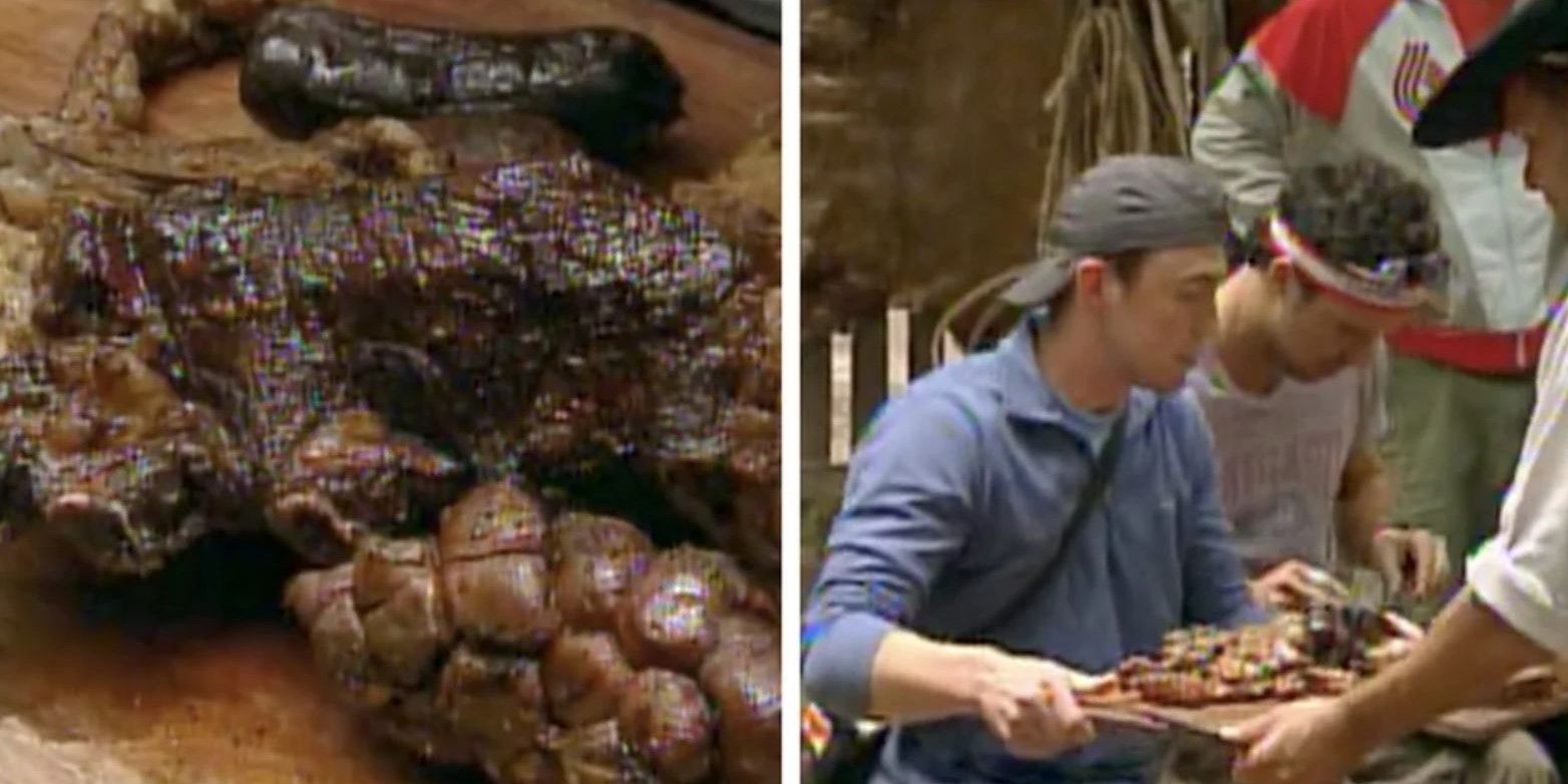 The Amazing Race: 9 Food Challenges Ranked From Least To Most Challenging