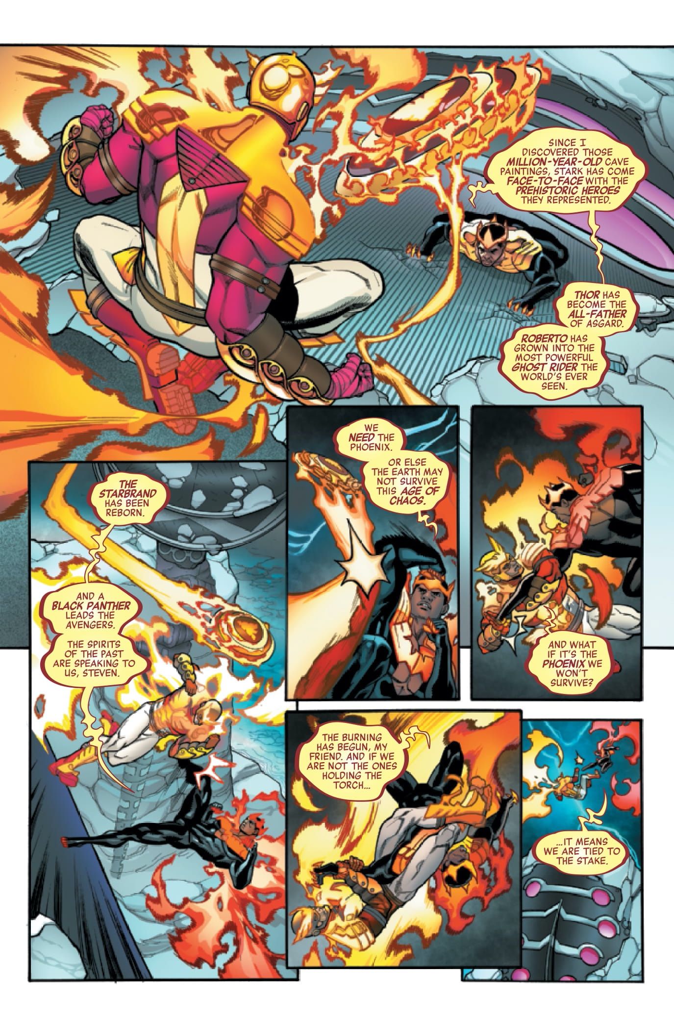 Black Panther Explains Why He Must Become The New Phoenix