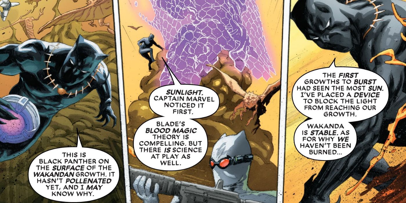 Black Panther Just Proved He Could Take Down Superman