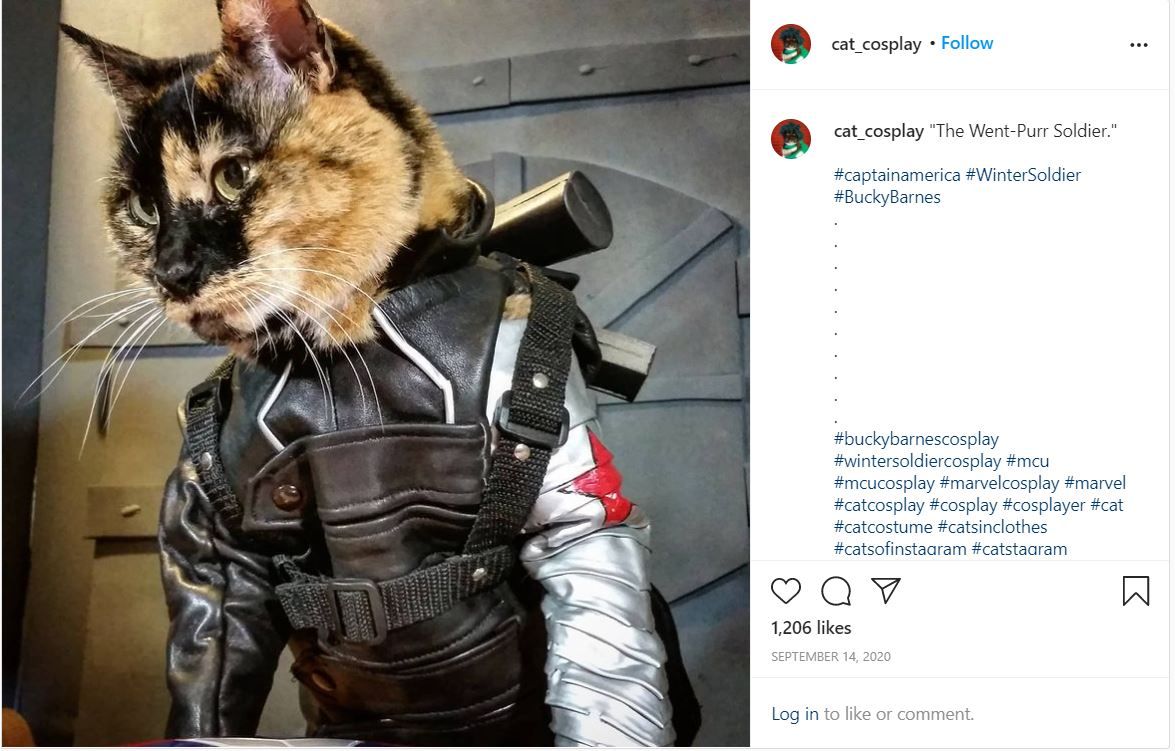 Falcon & The Winter Soldier: 10 Best Bucky Barnes Cosplays
