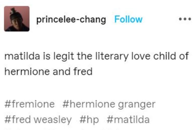 Harry Potter: 10 Best Fremione Ship Memes
