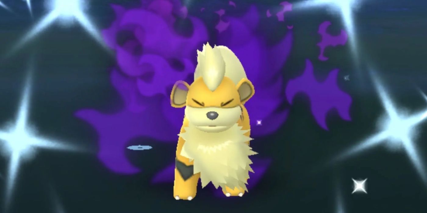 10 Things Beginners Should Know About Shadow Pokémon