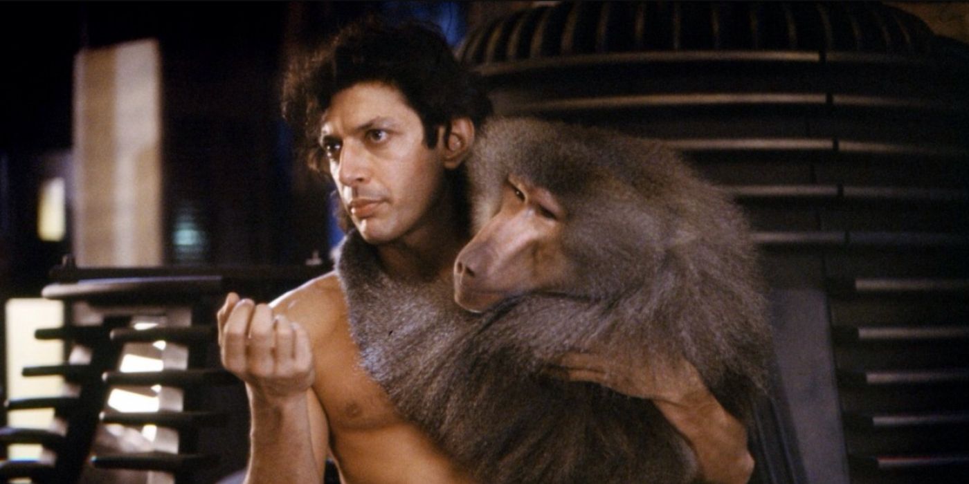 the fly Summary, Trailer, Cast, and More