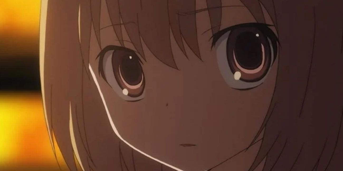 Toradora!: 10 Best Episodes According To IMDb