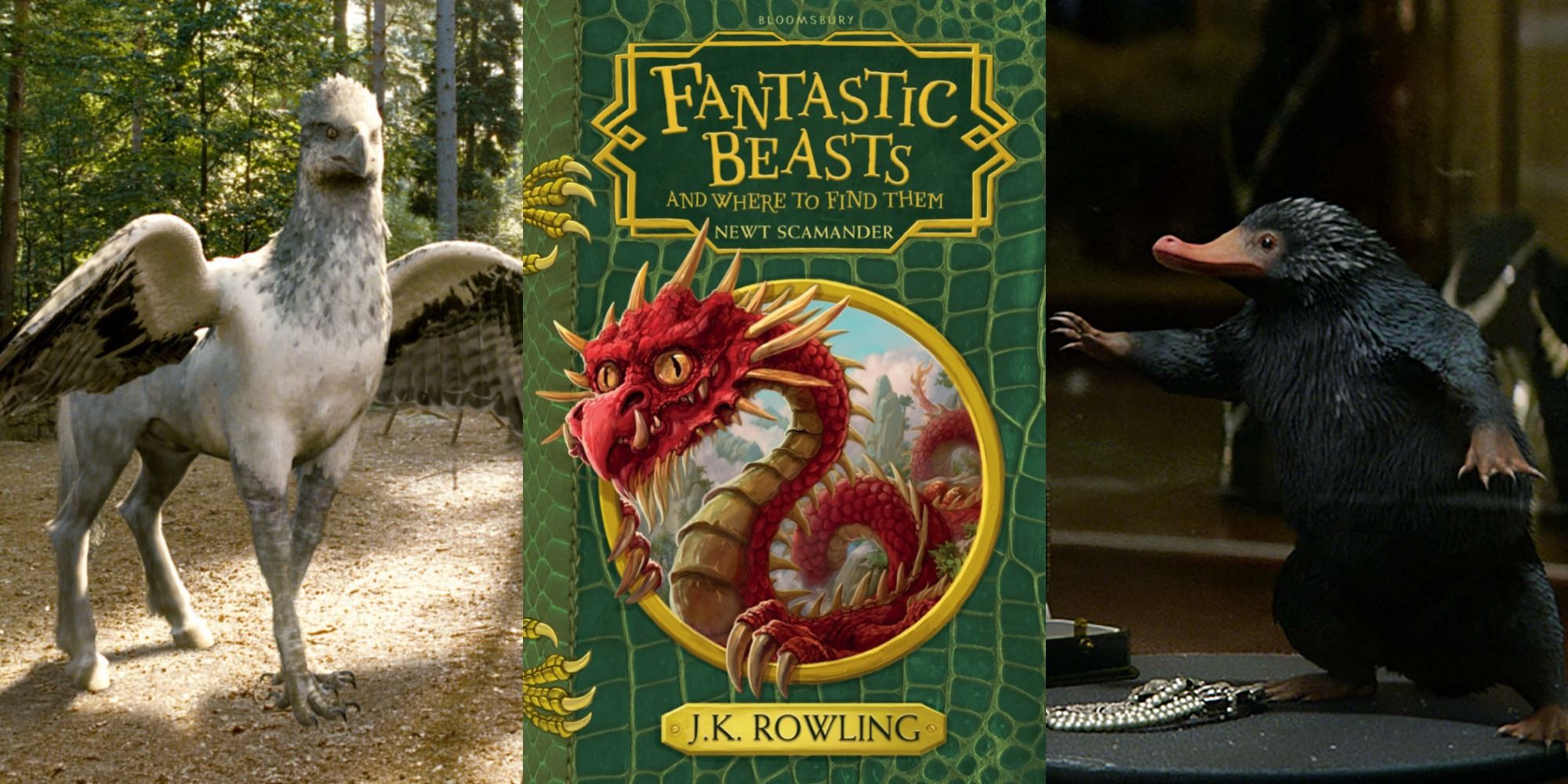 The 10 Best Harry Potter Companion Books Of All Time