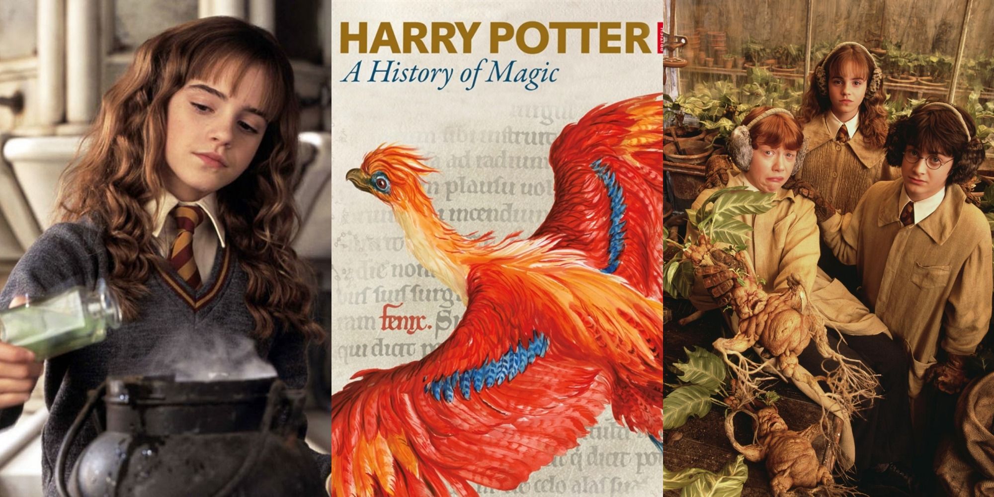 The 10 Best Harry Potter Companion Books Of All Time