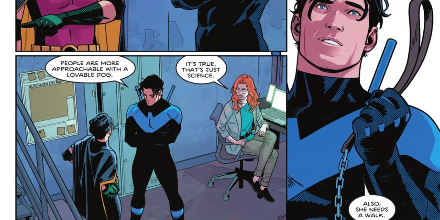 Robin Partners With Nightwing's Puppy For Undercover Mission