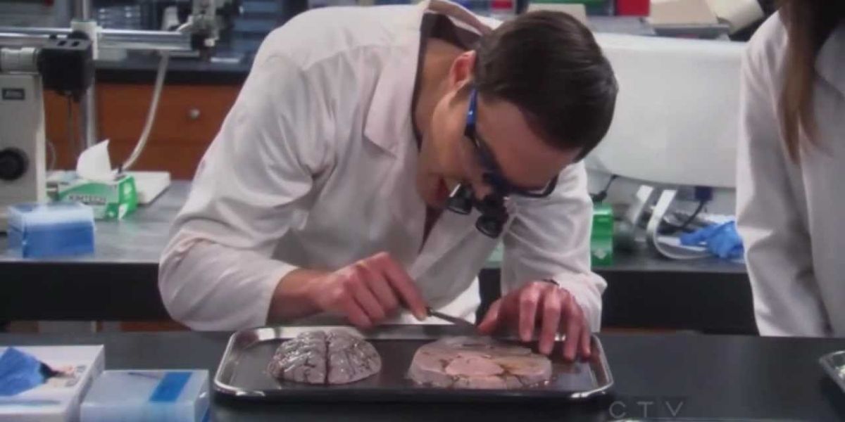 The Big Bang Theory: 8 Times Amy Should Have Been Fired