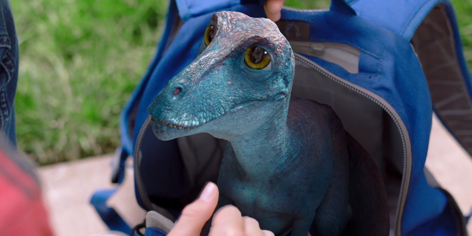 The Adventures Of Jurassic Pet: A Jurassic Park Rip-Off