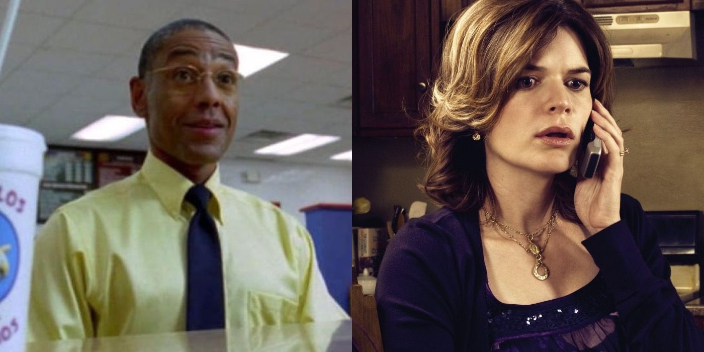 Breaking Bad: 5 Heroes Fans Hated (& 5 Villains They Loved)