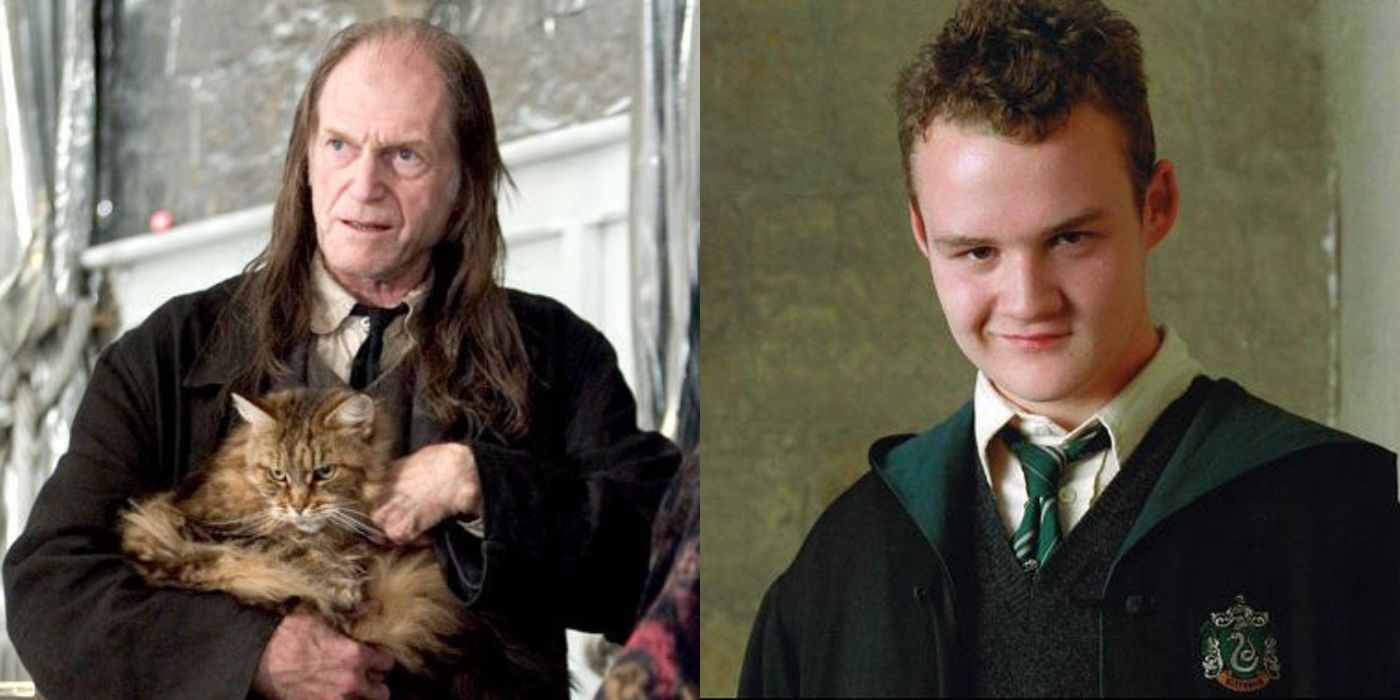 10 Low-Key Villains In Harry Potter Everyone Forgets About