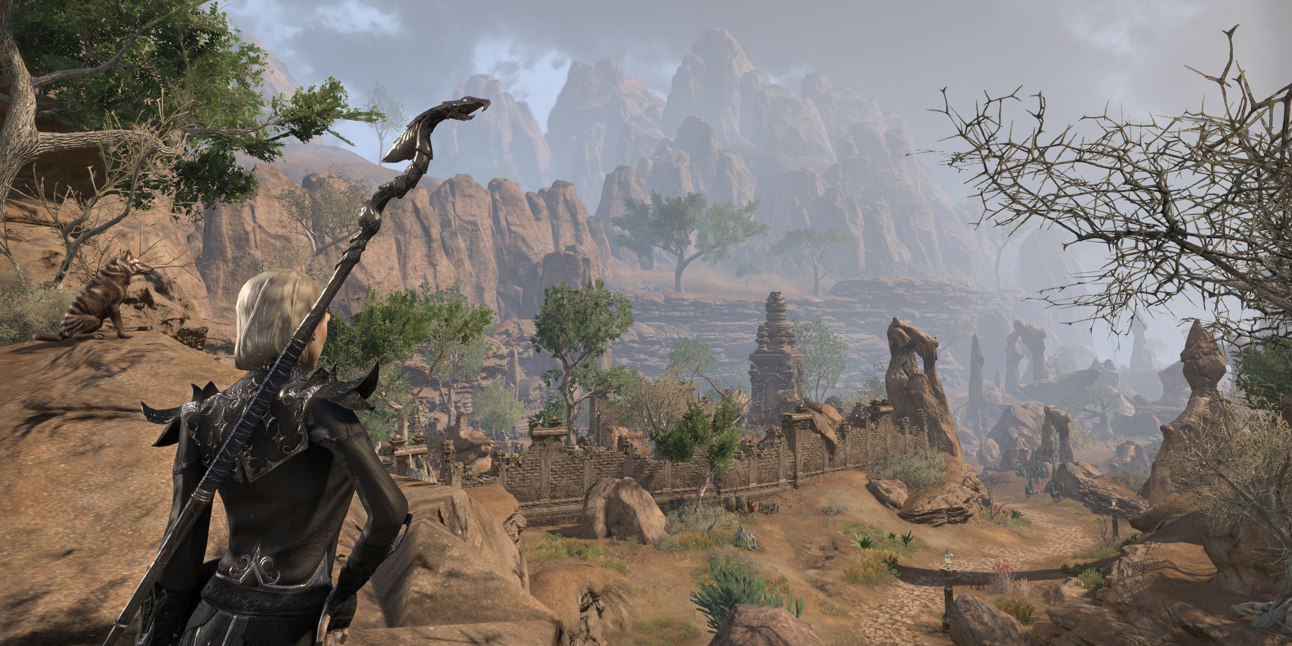 Elder Scrolls 6 Should Take Place in Elsweyr