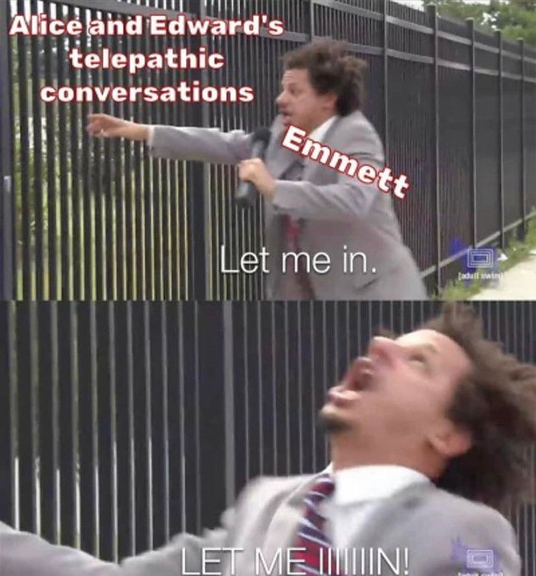 Twilight Saga: 10 Emmett Memes Fans Will Love