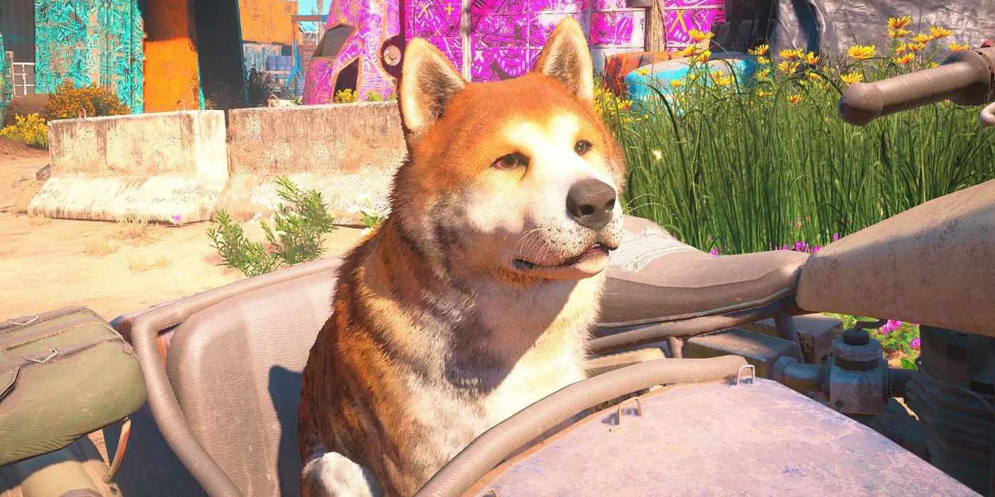 Far Cry: New Dawn 10 Things You Didn't Know About The Judge