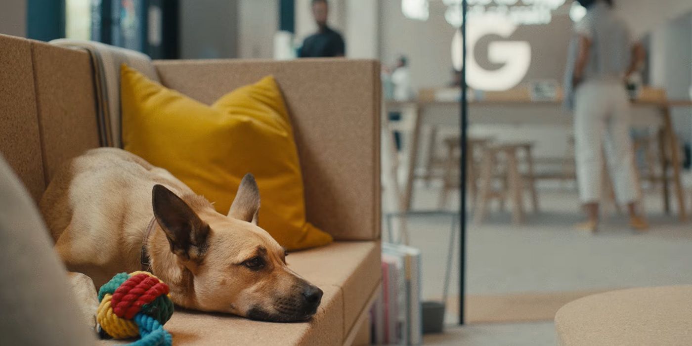 What To Expect When Visiting Google's First Retail Store In New York City