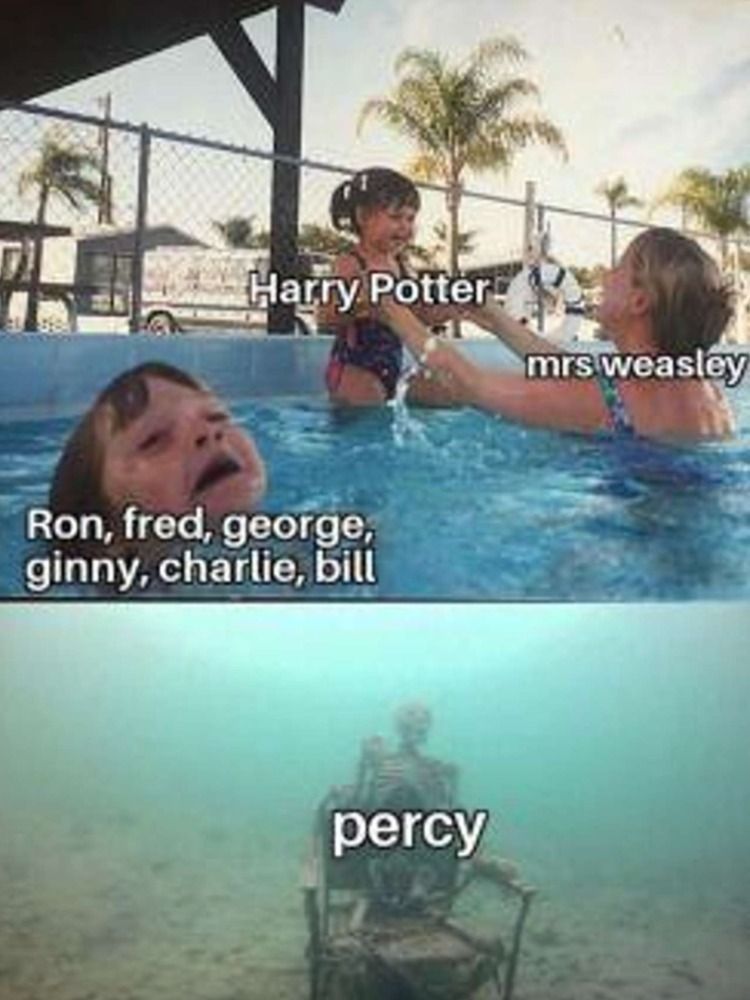 Harry Potter: 10 Hilarious Memes That Prove Mrs. Weasley Loved Harry ...