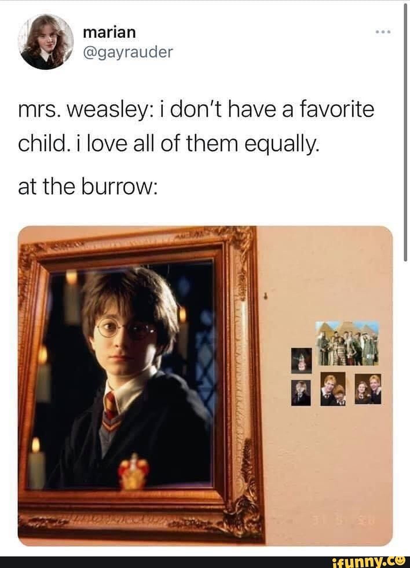 Harry Potter: 10 Hilarious Memes That Prove Mrs. Weasley Loved Harry ...