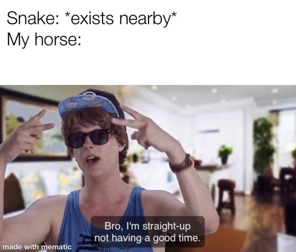 Red Dead Redemption 2: 10 Horse Memes That Are Too Funny