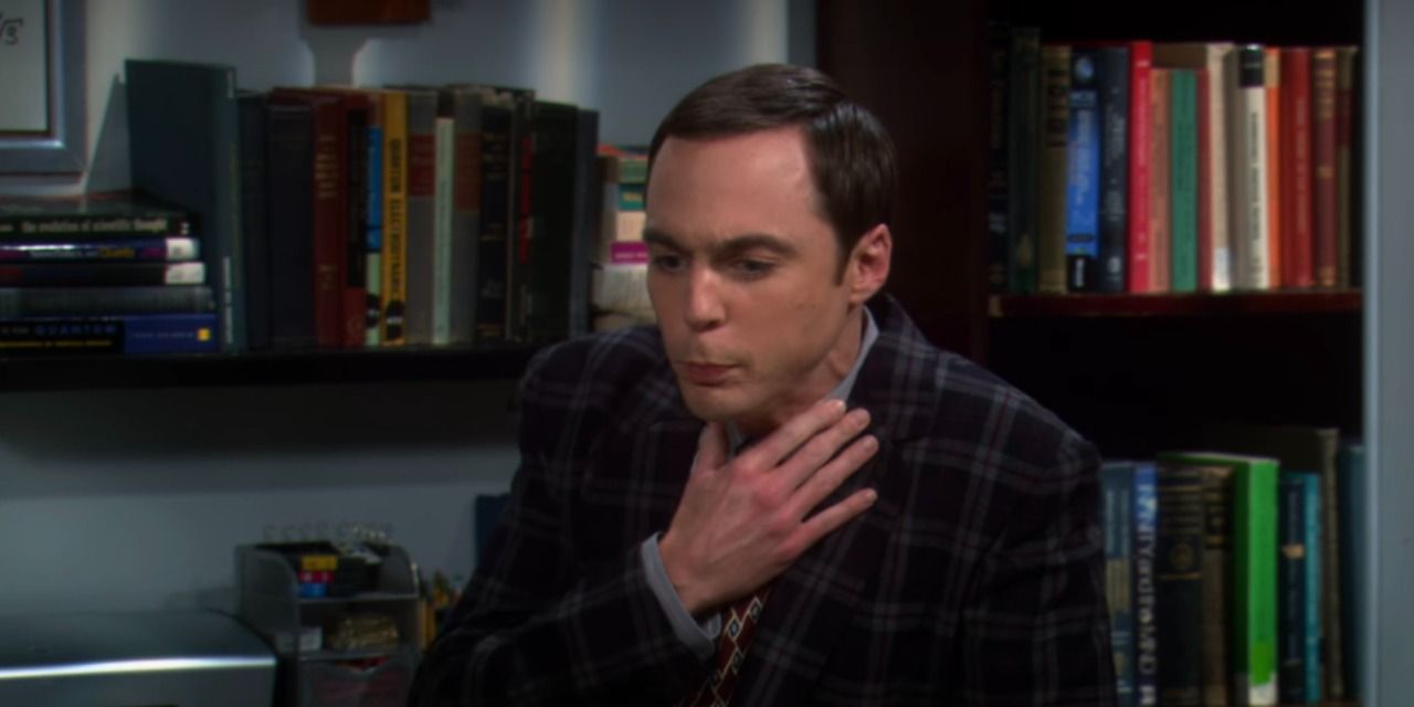The Big Bang Theory: Each Main Character's Funniest Scene