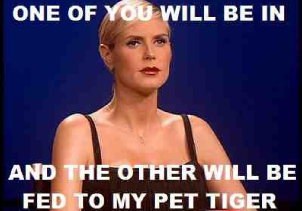 9 Best Project Runway Memes That'll Make You Laugh-Cry