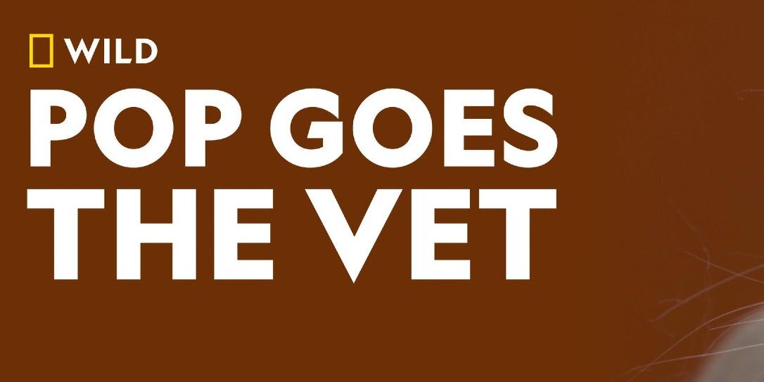 10 Best Shows Like Dr. Pimple Popper