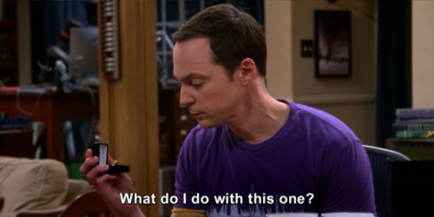 The Big Bang Theory: 15 Emotional Quotes That Make Redditors Cry