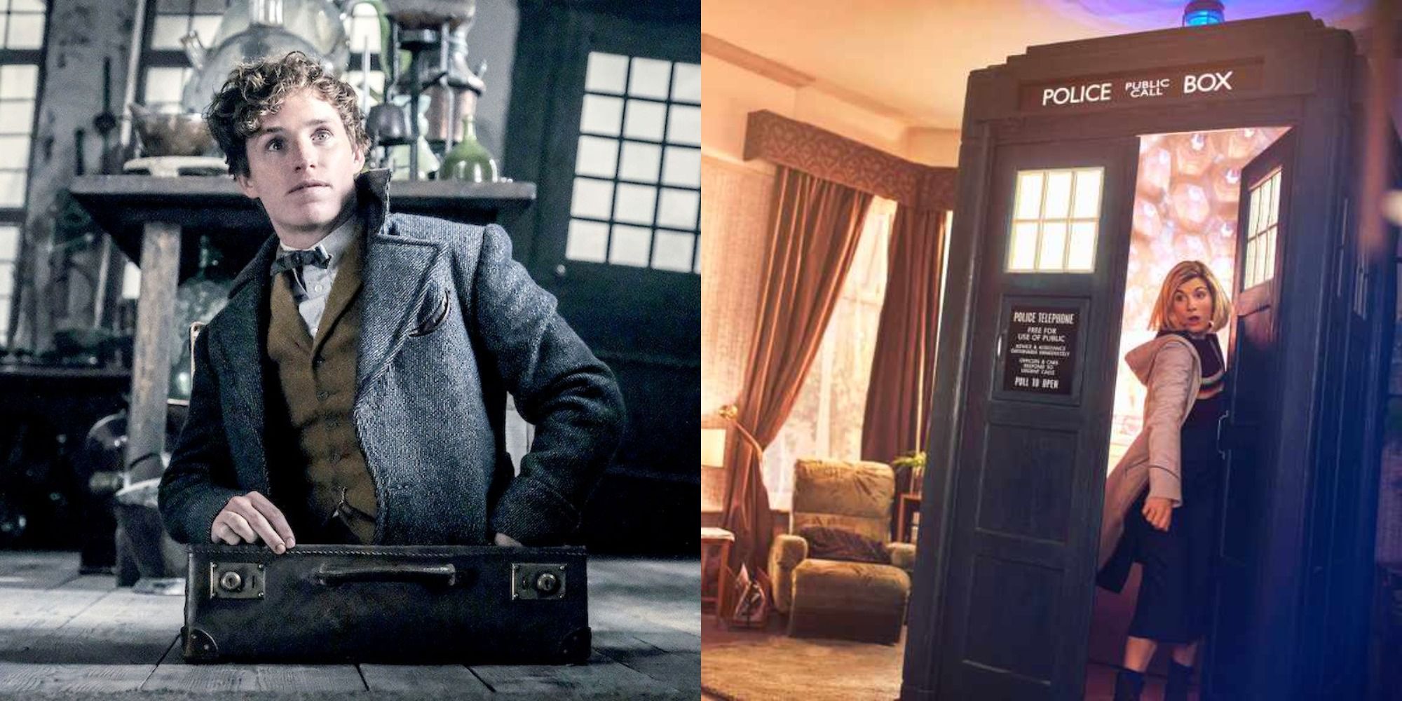 10 Things That Prove Fantastic Beasts And Doctor Who Exist In The Same ...