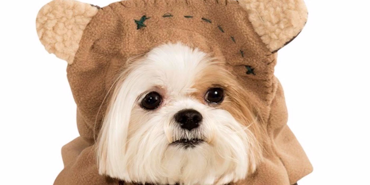 Mark Hamill Shares Cute Star Wars Dog Photos to Celebrate National Dog Day