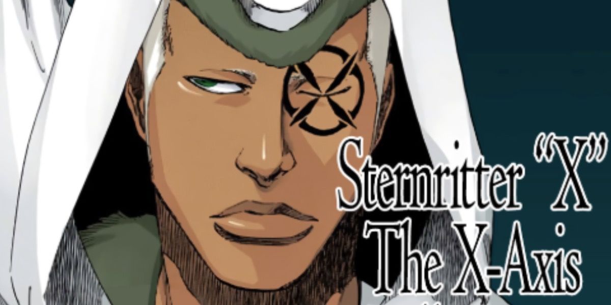 Bleach: The Sternritter, Ranked By Intelligence