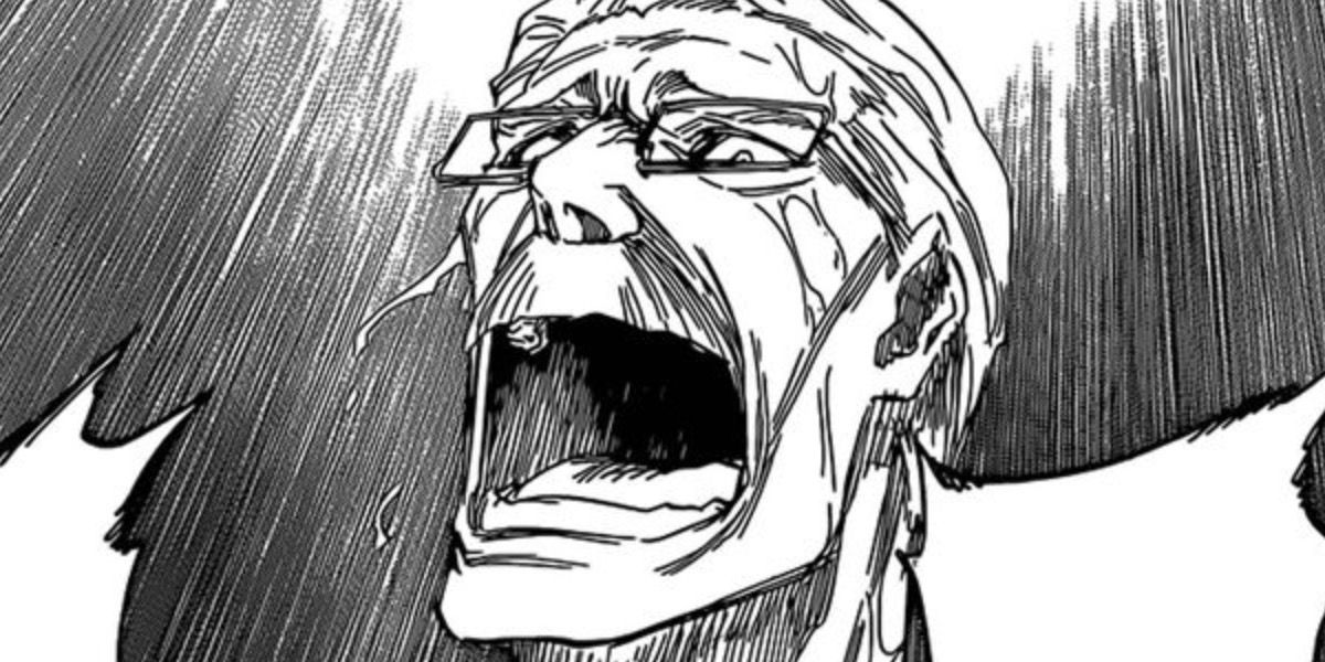 Bleach: The Sternritter, Ranked By Intelligence