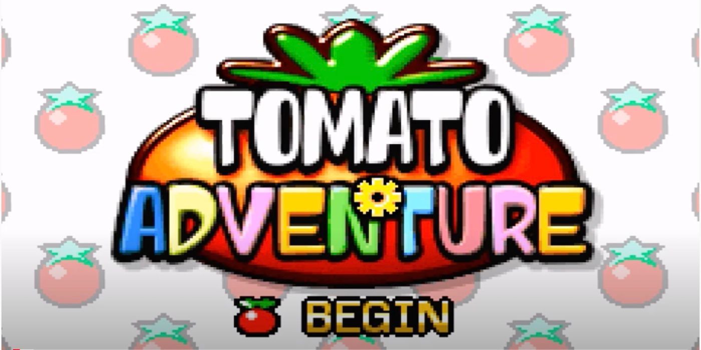 Early Mario & Luigi Studio RPG Playable In English