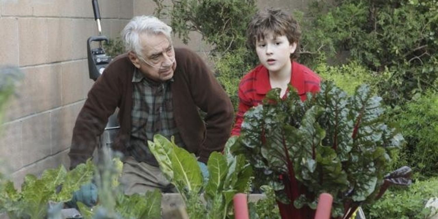 Modern Family: The 10 Best Characters Introduced After Season One