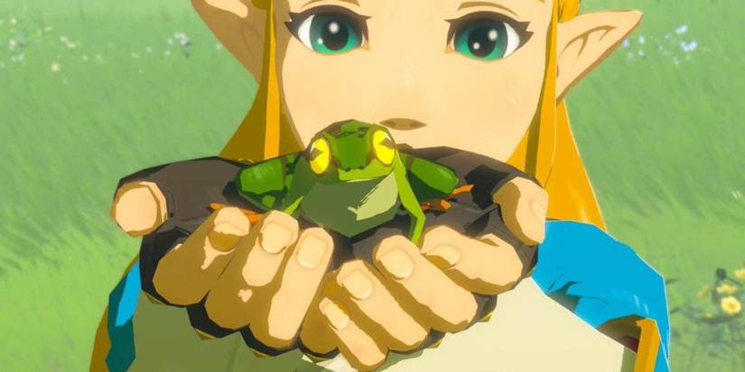 Hyrule Warriors: Age Of Calamity - 10 Things You Didn't Know About Zelda