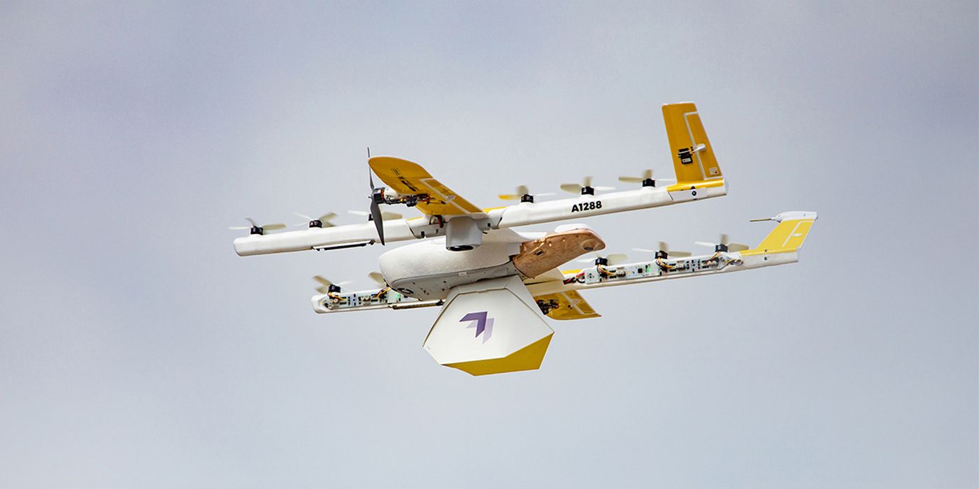 Aggressive Birds Are Attacking Google's Delivery Drones
