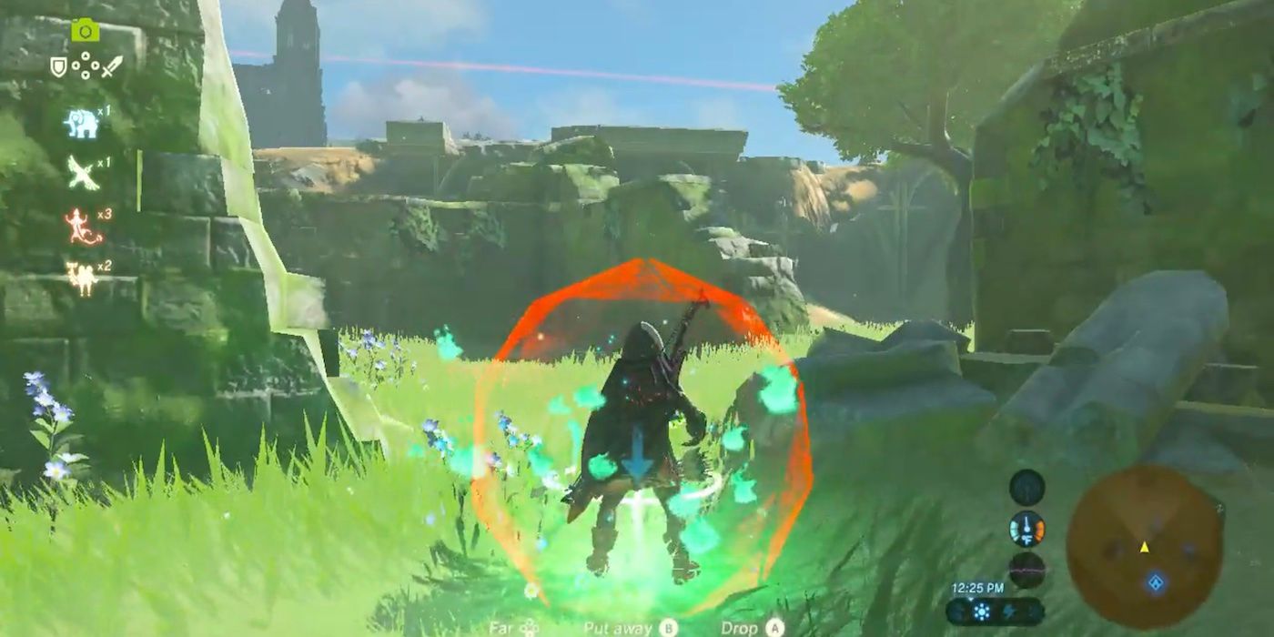 BOTW Player Glitches Into First-Person View Without Master Cycle BOTW Player Glitches Into First-Person View Without Master Cycle