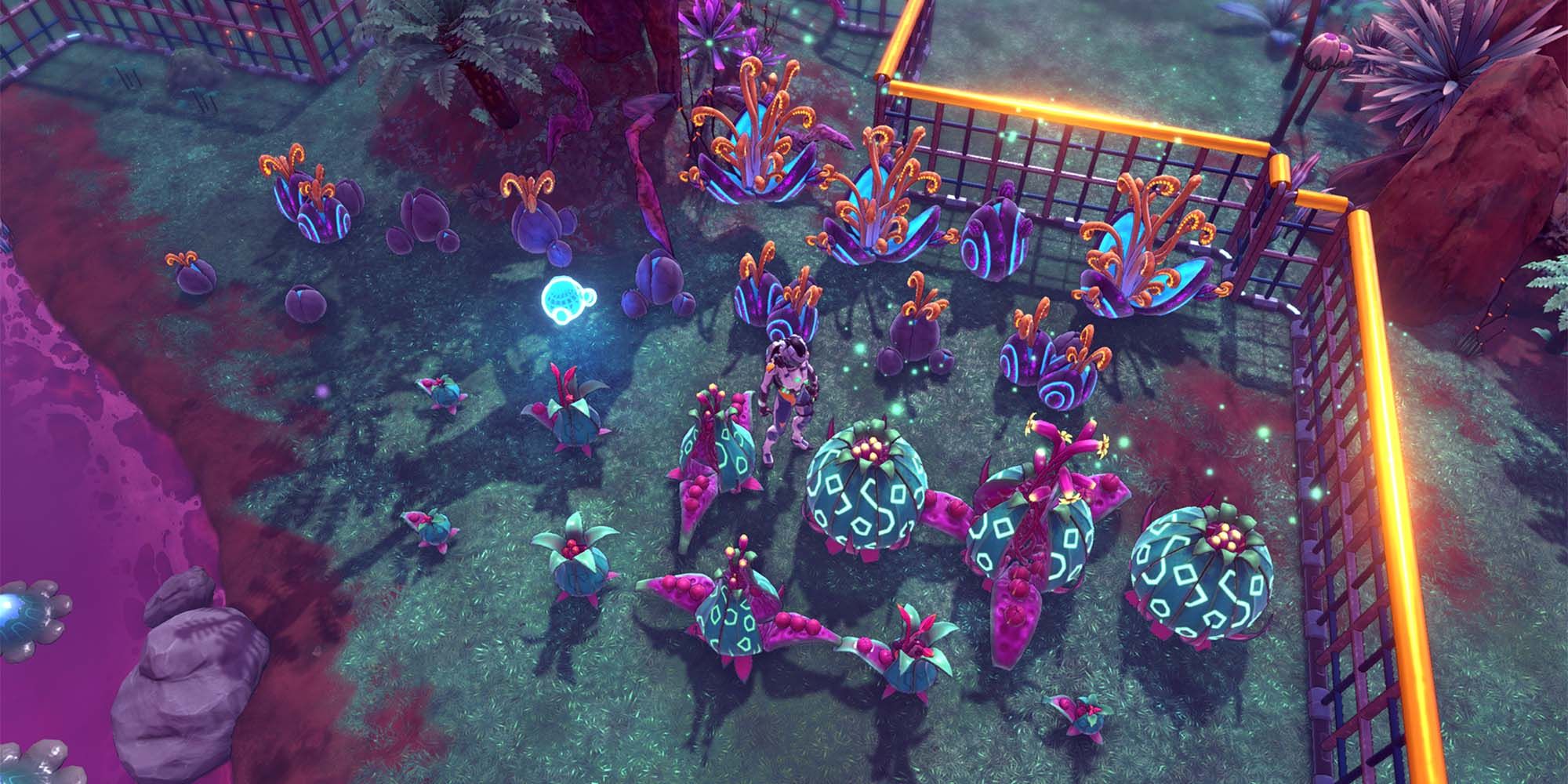 Beyond Contact Preview: An Unrelenting and Unforgiving World