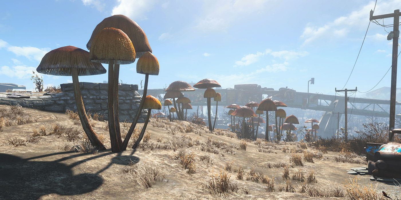 Fallout 4: The 10 Best Environmental Add-On Mods To Date